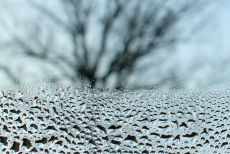 Foggy Windows - Why it Happens & What to Do About it | Budget Glass